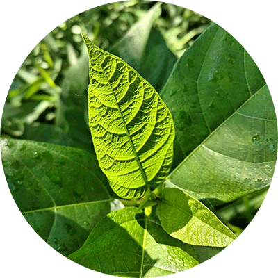 【公演レポート】繊細さとダイナミズム 〜クラウス・マケラ＆パリ管が紡いだ“幻想”の一夜 – ぶらあぼONLINE | クラシック音楽情報ポータル